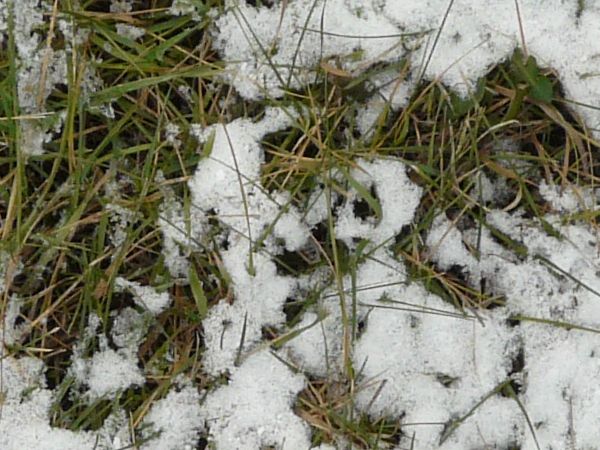 frozen ground texture 0013 - Texturelib